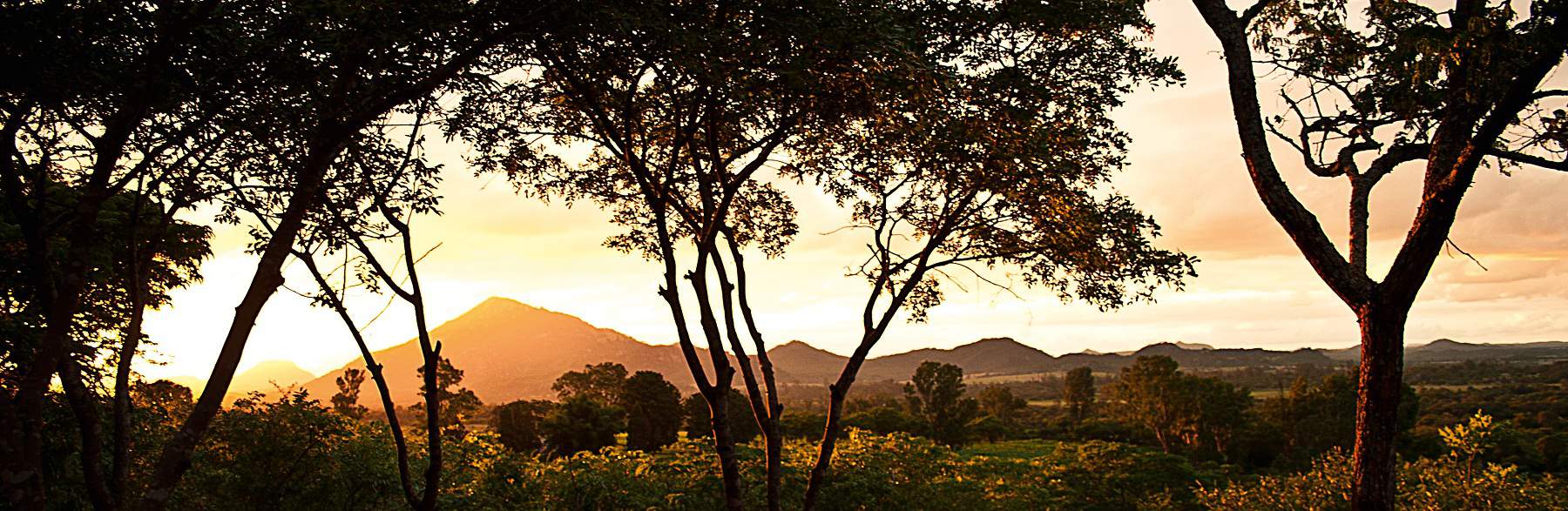 Musangano Lodge Eastern Highlands Simbabwe ǀ Genuss Touren