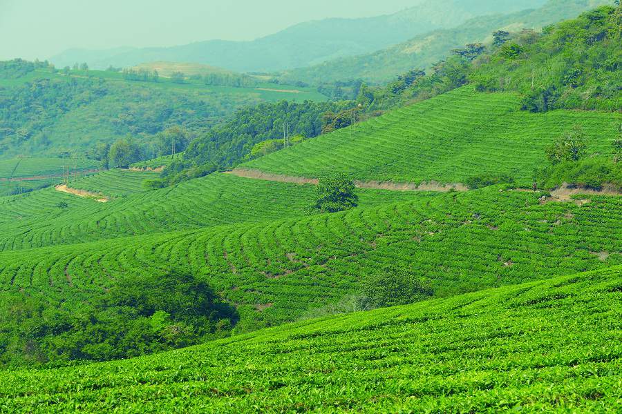 Simbabwes Eastern Highlands entdecken ǀ Genuss Touren