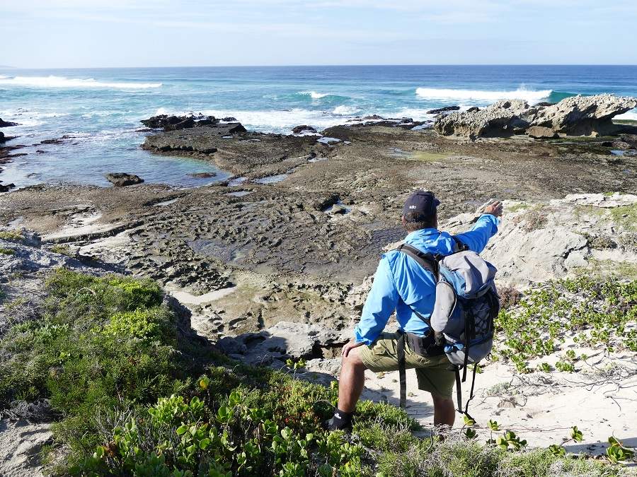 Marine Walk im De Hoop Nature Reserve | Genuss Touren